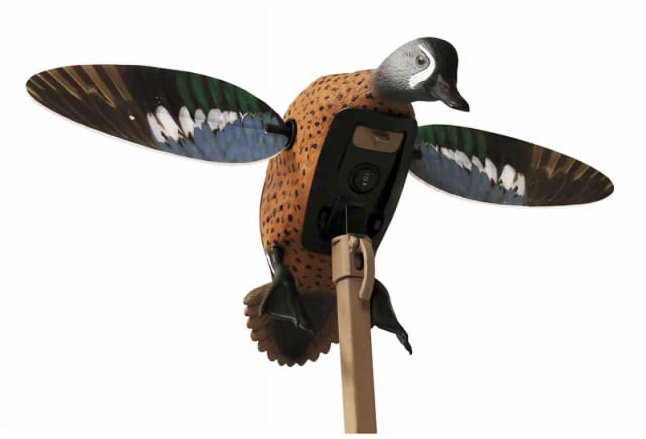 Mojo HW2475-3P Elite Series Blue Wing Teal Duck Hunting Decoy - Walmart.com