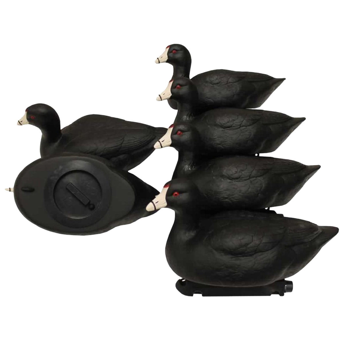 Mojo Outdoors Coot Confidence Duck Decoys, 6 Pack - Walmart.com