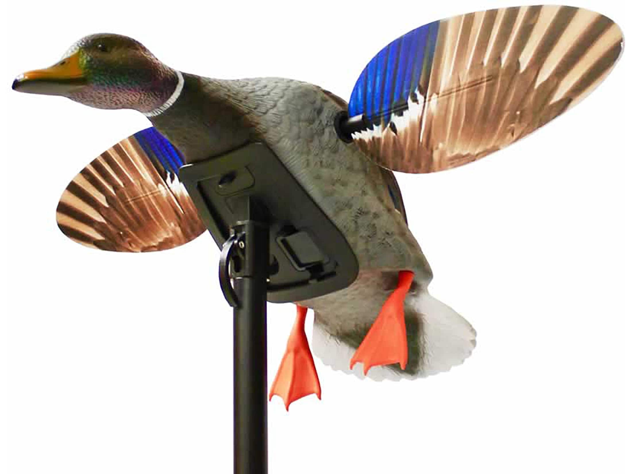 Mojo Outdoors Elite Series Mini Mallard Spinning Wing Waterfowl Duck ...