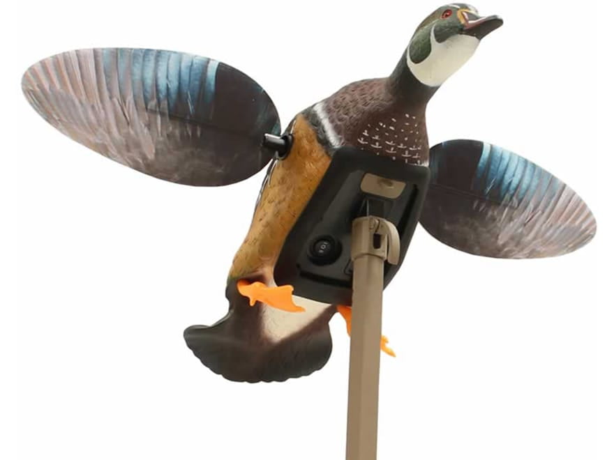 Mojo Outdoors, Elite Series Wood Duck Waterfowl, Duck Decoy, HW2472, 1 ...