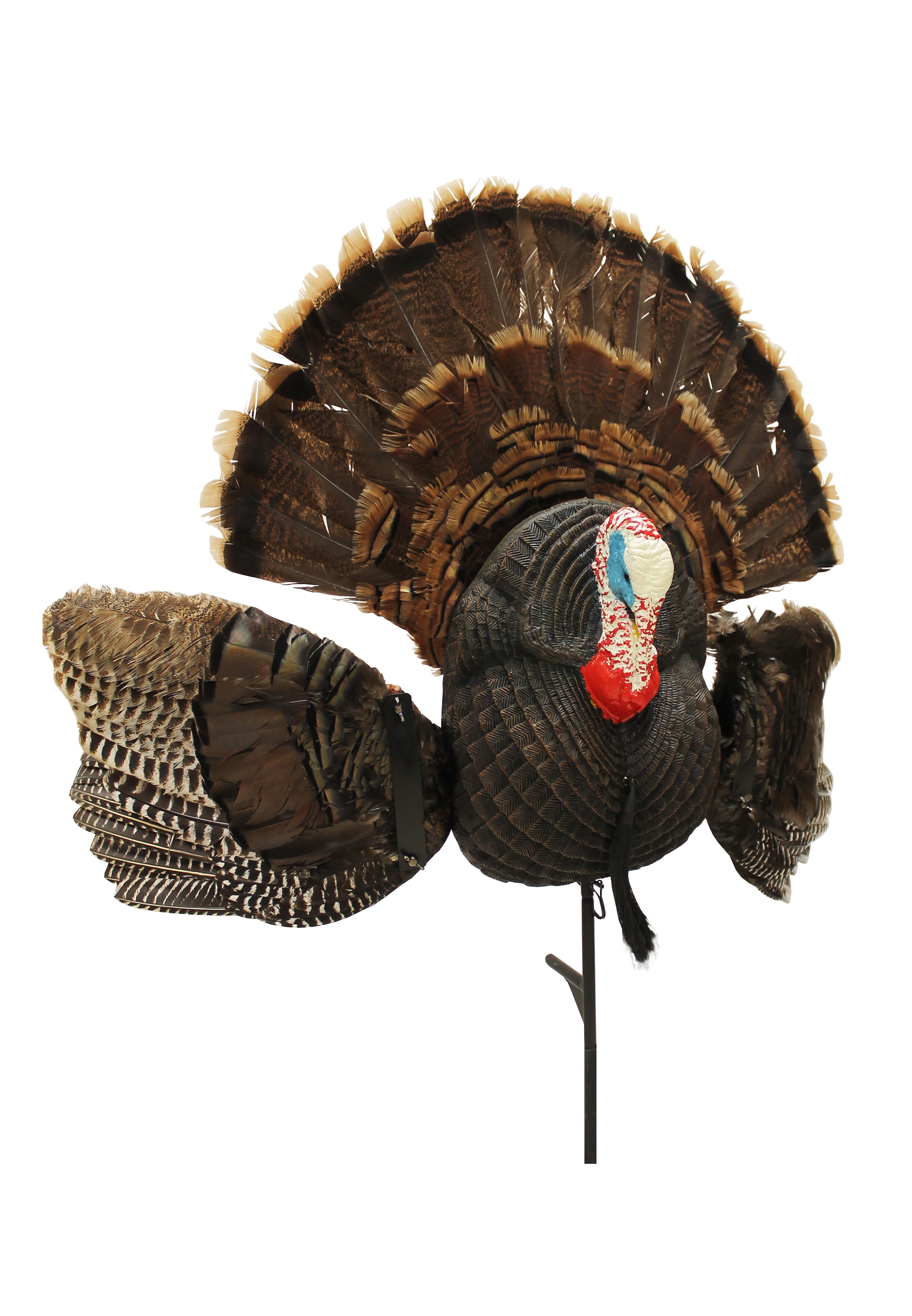 Mojo Outdoors Scoot N Shoot Turkey Decoy, 1pc - Walmart.com