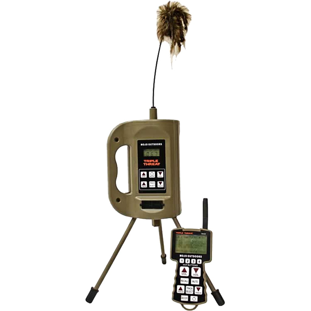 Electronic Calls