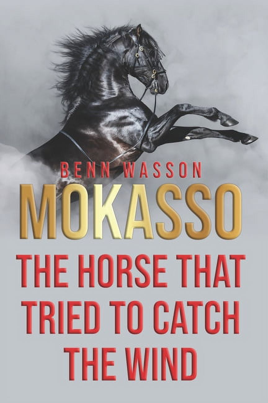 Mokasso, the horse that tried to catch the wind (Paperback) - Walmart.com