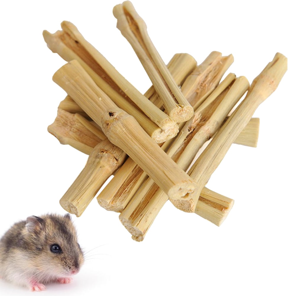 Molar Rod for Rabbit Pet Snacks Squirrels Chewing Stick Guinea Pigs ...