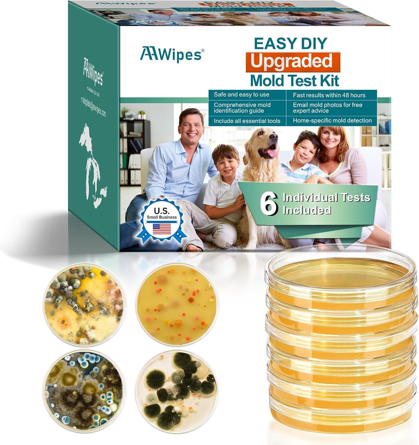 Mold Test Kit, 6 Individual Tests for Home House Mold Detector DIY Air ...
