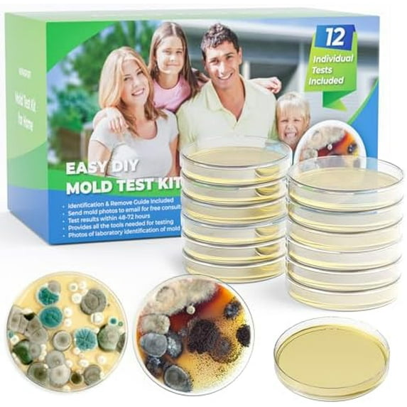 Mold Test Kit for Home - 12 PCS DIY Mold Detector with Detailed ...