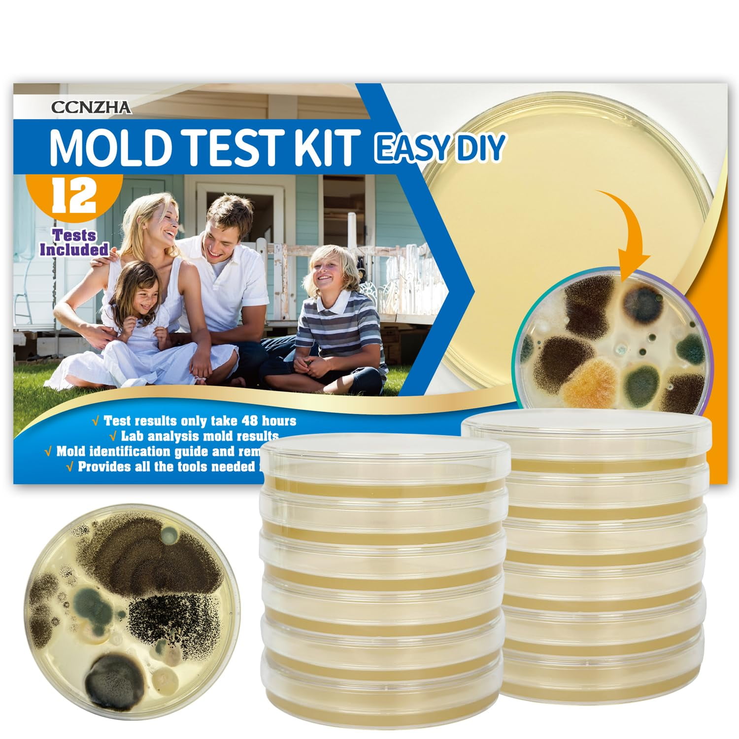 Mold Test Kit for Home -DIY Mold Testing Kit with 12 Individual Tests ...