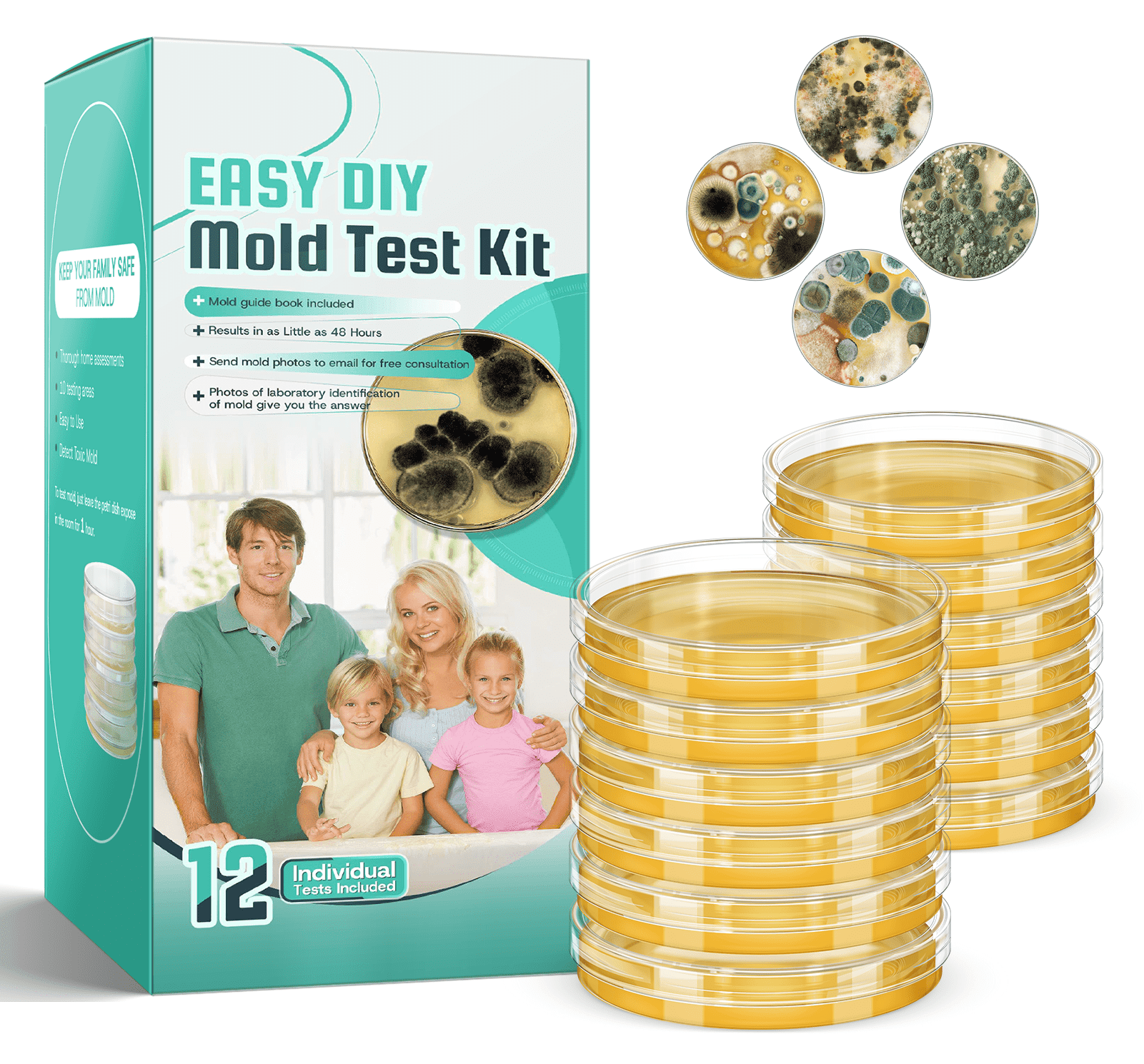 Mold Test Kit for Home Detection: 12 Simple DIY Science Kits for Fastly ...