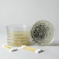 Mold Test Kit - Test 10 Different Areas in , Swab Sample and Air Sample ...