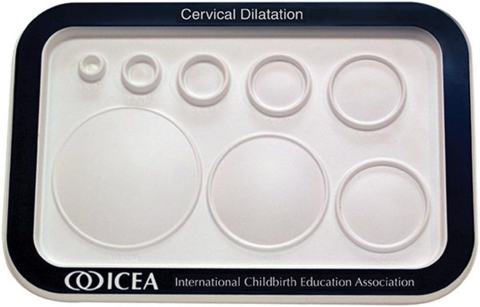 Molded Plastic Dilation Chart - Walmart.com
