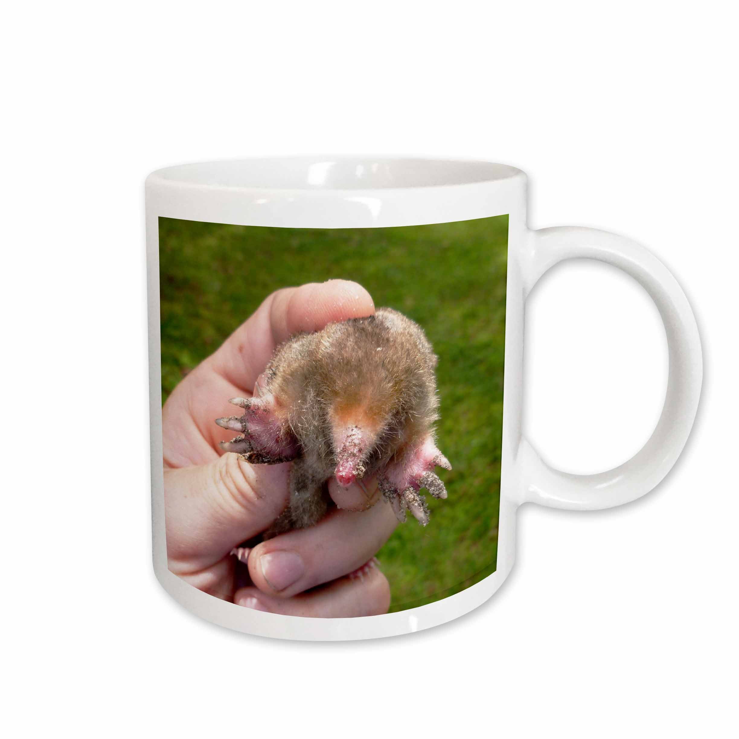 3drose, Mole Facing Down in Hand, 15oz Mug - Walmart.com