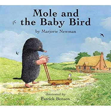 21st Century Skills Library: Exploring Our Rainforests: Harpy Eagle ...