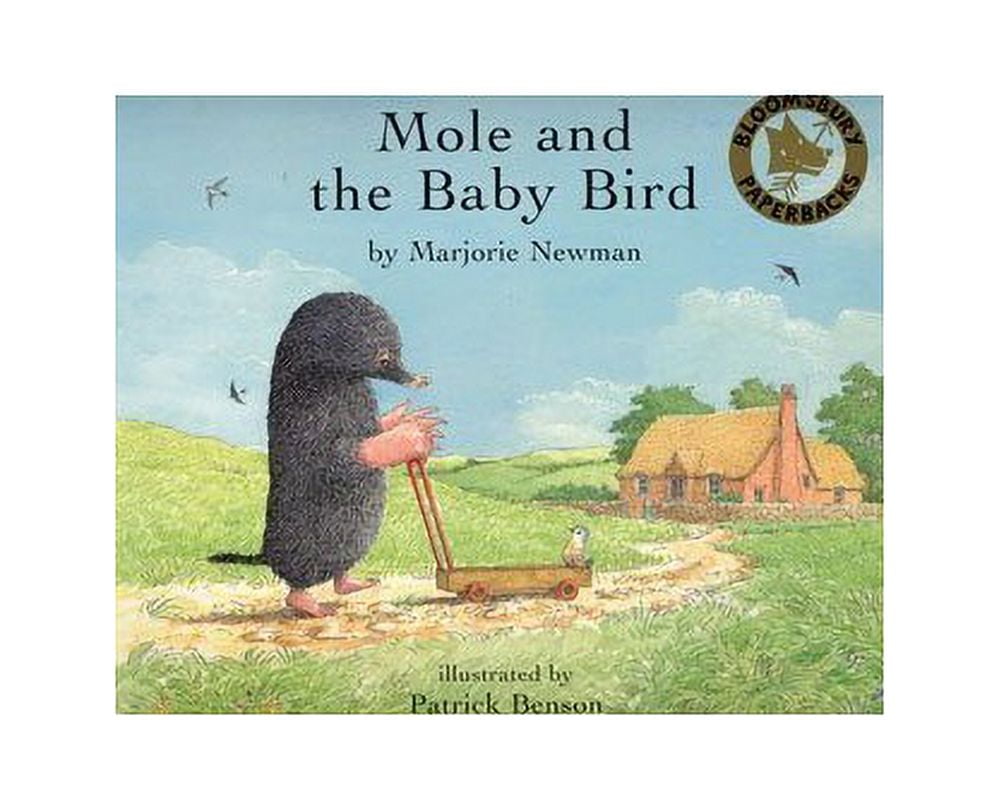 Pre-Owned Mole and the Baby Bird (Paperback) 0747561192 9780747561194 ...