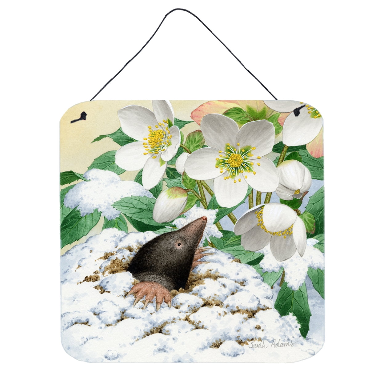Mole by Sarah Adams Wall or Door Hanging Prints - Walmart.com