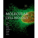 Molecular Cell Biology (Hardcover) - Walmart.com