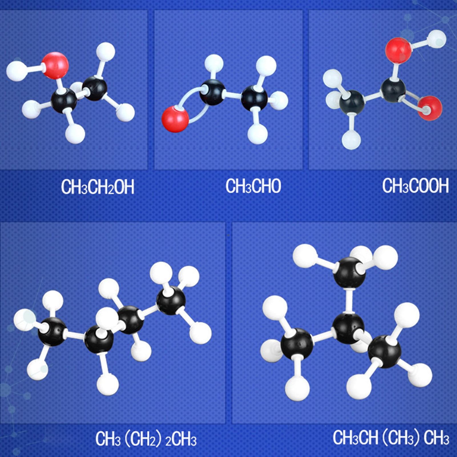 Molecular Model Set Organic Chemistry Molecules Structure Model for ...