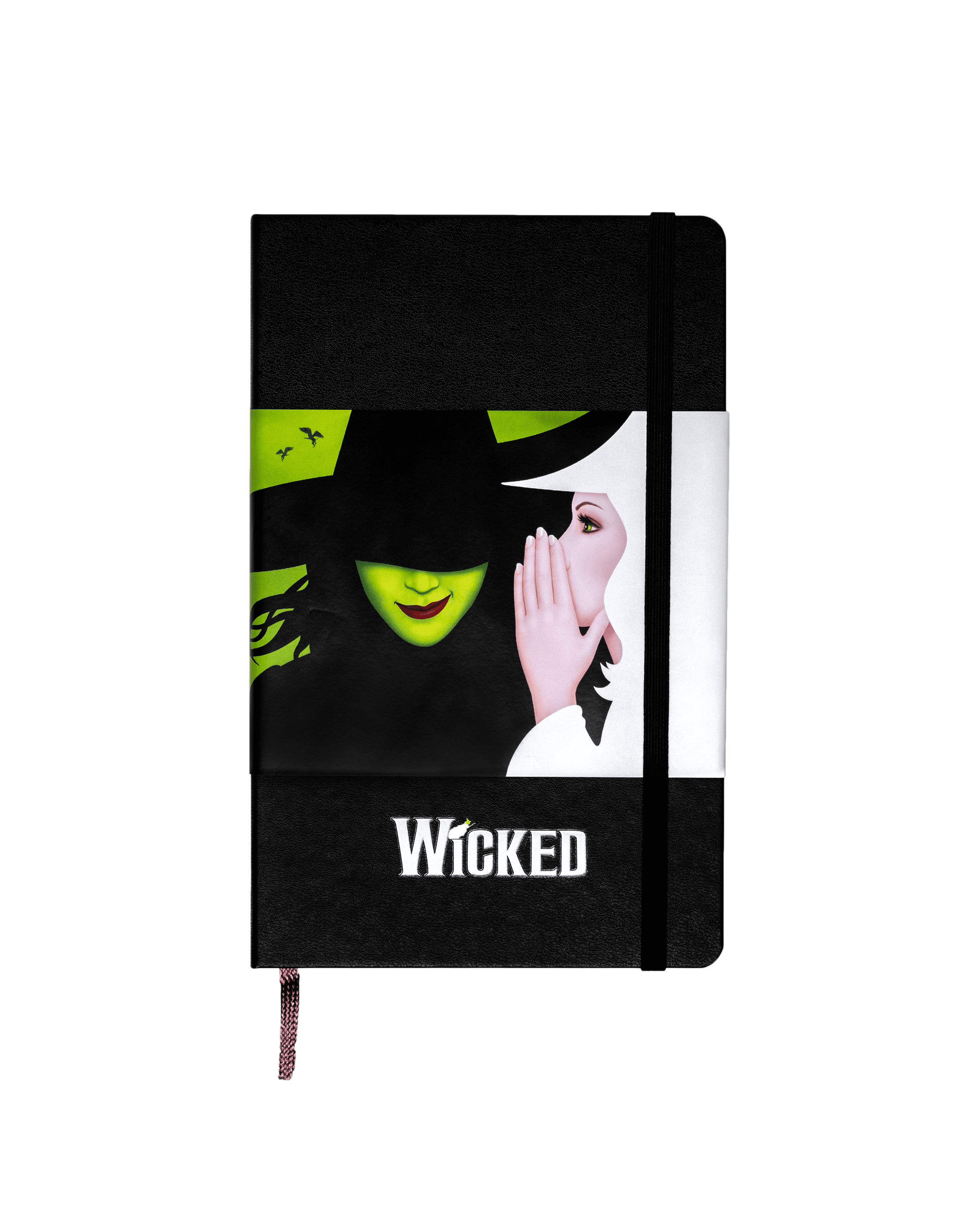 Moleskine Limited Edition Wicked 20th Anniversary Notebook, Hard Cover ...