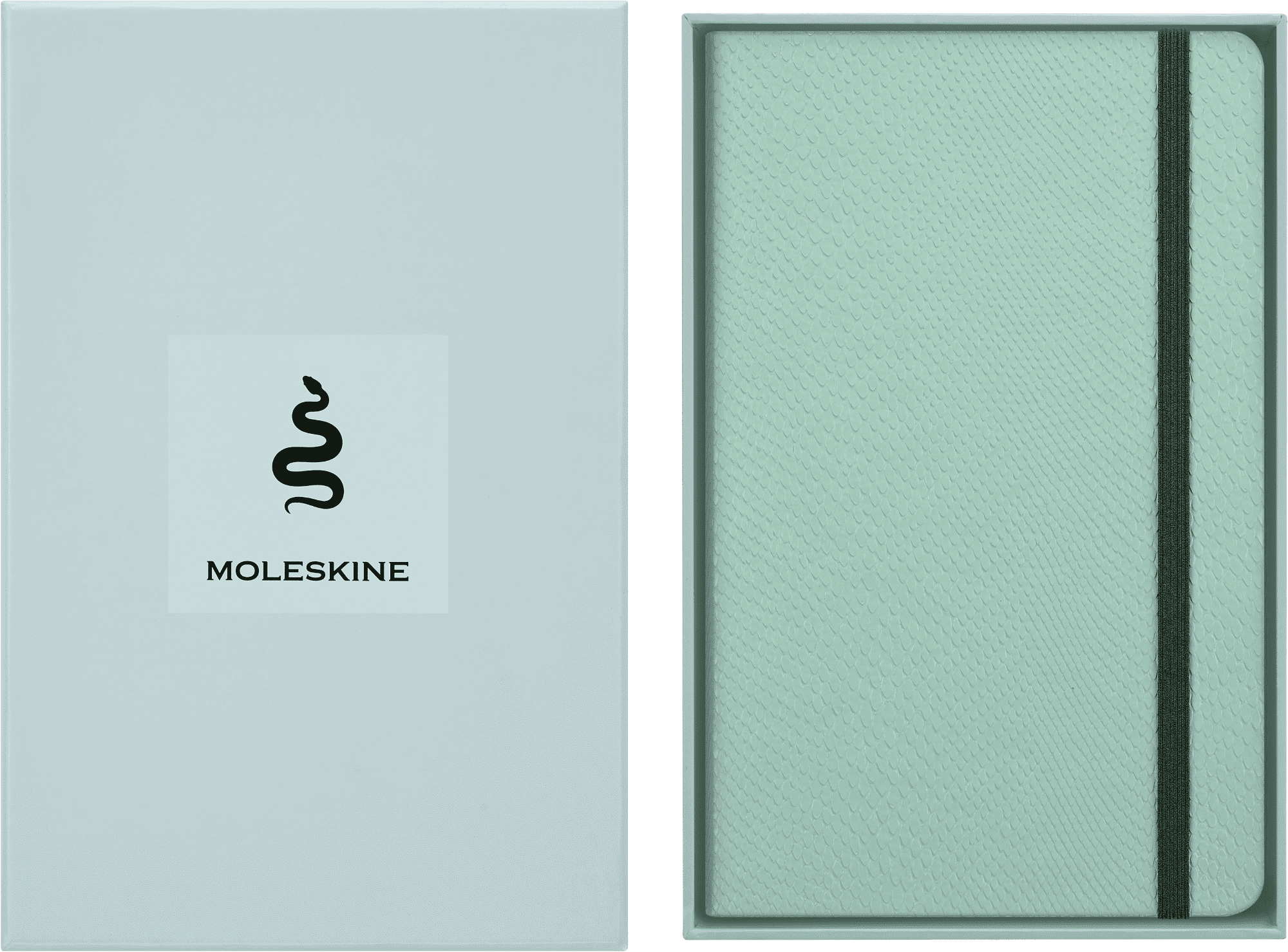 Moleskine Limited Edition Year of the Snake 2025 Precious & Ethical ...
