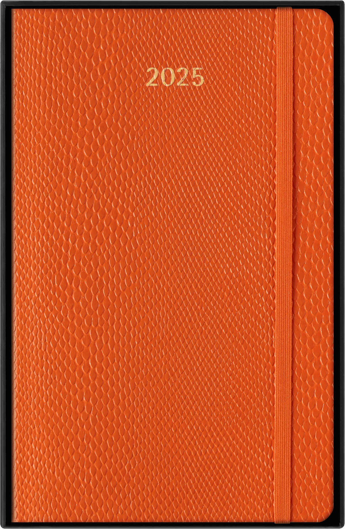 Moleskine Precious and Ethical 12 Month 2025 Weekly Planner, Soft Cover ...