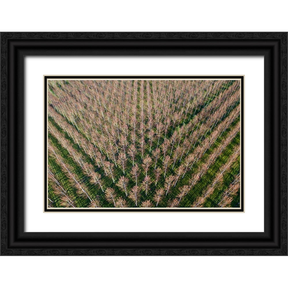 Molinari, Michele 14x11 Black Ornate Wood Framed with Double Matting ...