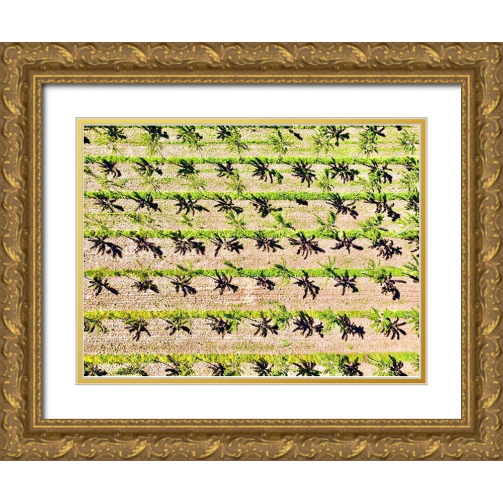 Molinari, Michele 14x11 Gold Ornate Wood Framed with Double Matting ...