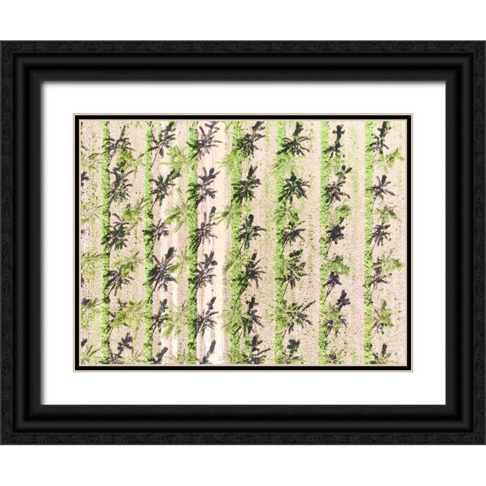 Molinari, Michele 14x12 Black Ornate Wood Framed with Double Matting ...