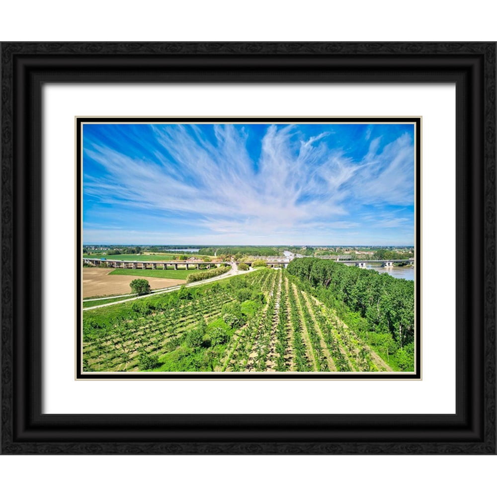 Molinari, Michele 18x14 Black Ornate Wood Framed with Double Matting ...