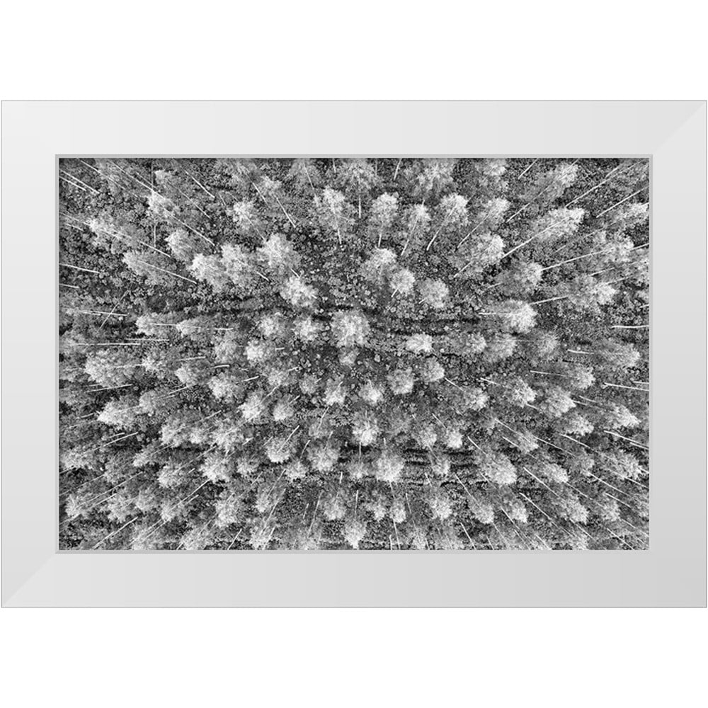 Molinari, Michele 24x17 White Modern Wood Framed Museum Art Print ...