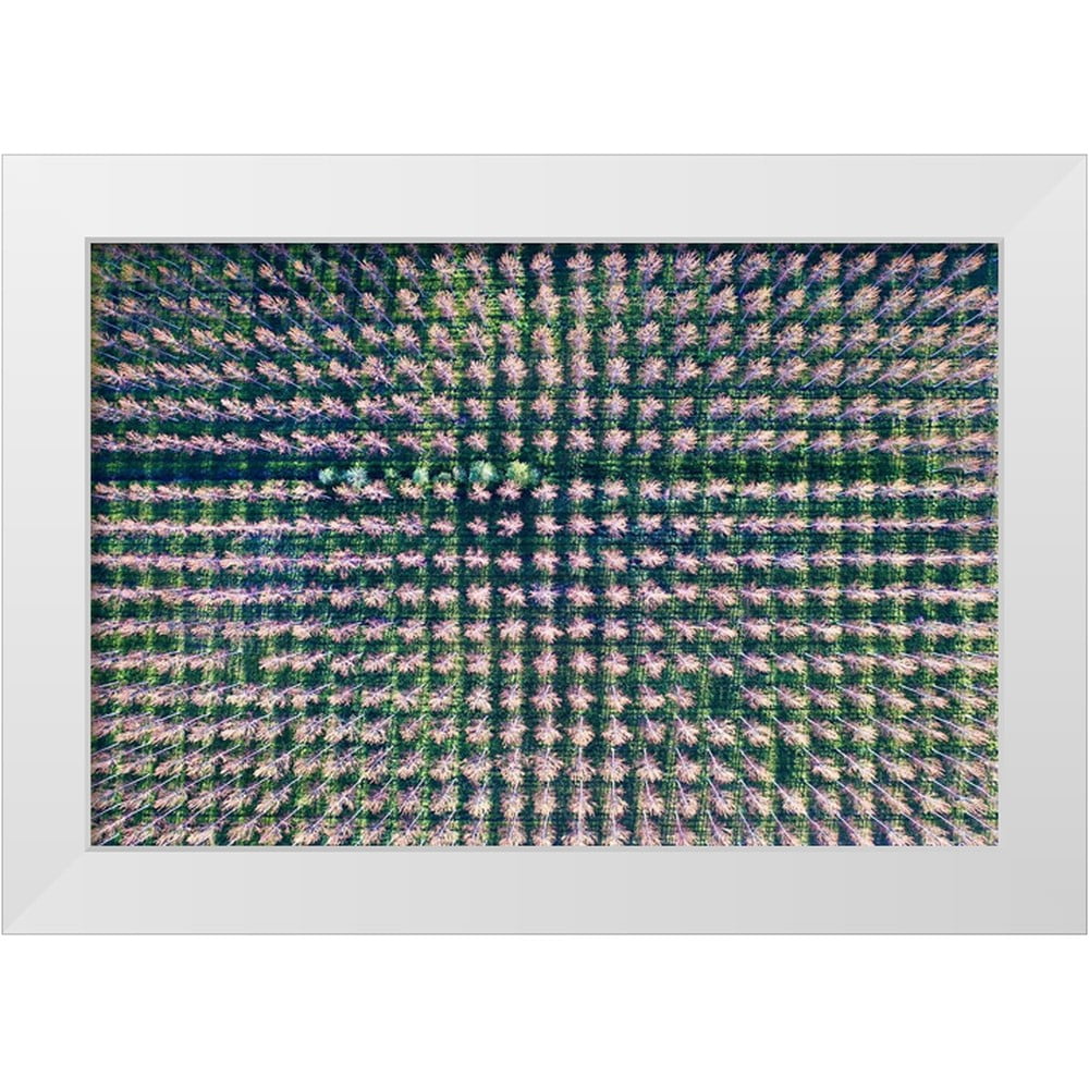 Molinari, Michele 24x17 White Modern Wood Framed Museum Art Print ...