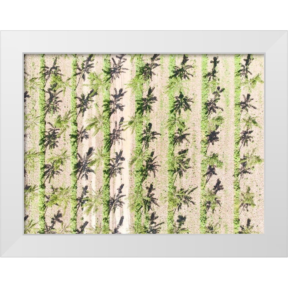 Molinari, Michele 24x19 White Modern Wood Framed Museum Art Print ...