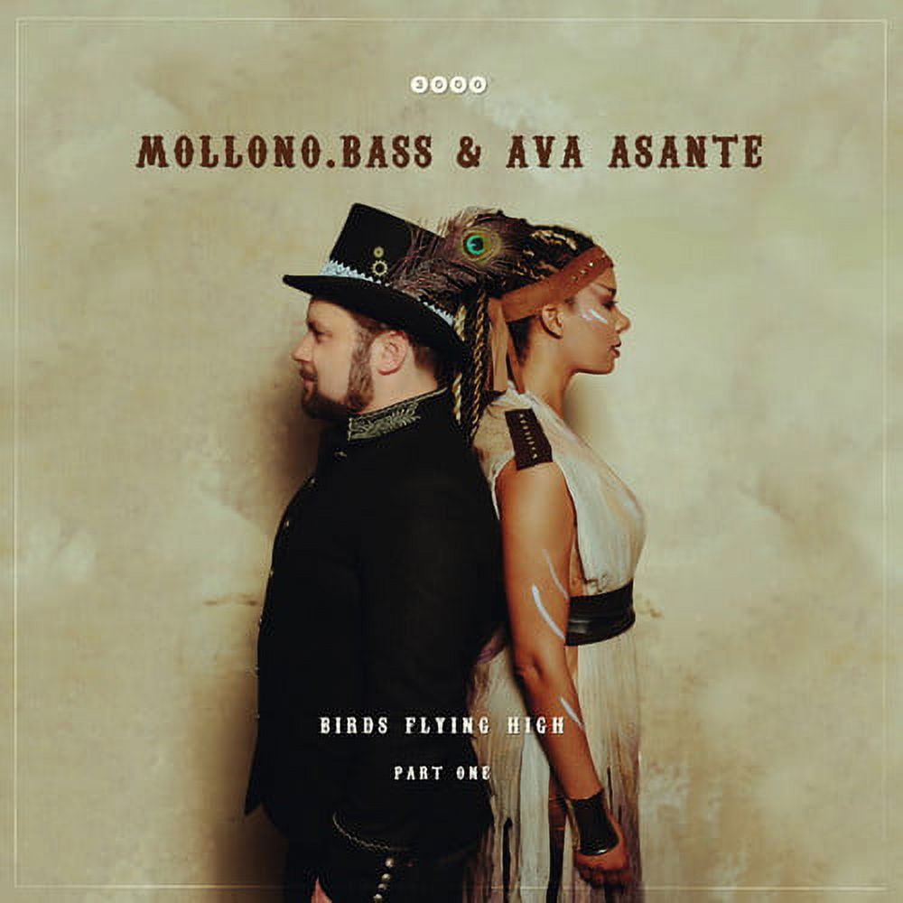 Mollono.Bass & Ava Asante - Birds Flying High - Part One - Electronica - Vinyl - Walmart.com