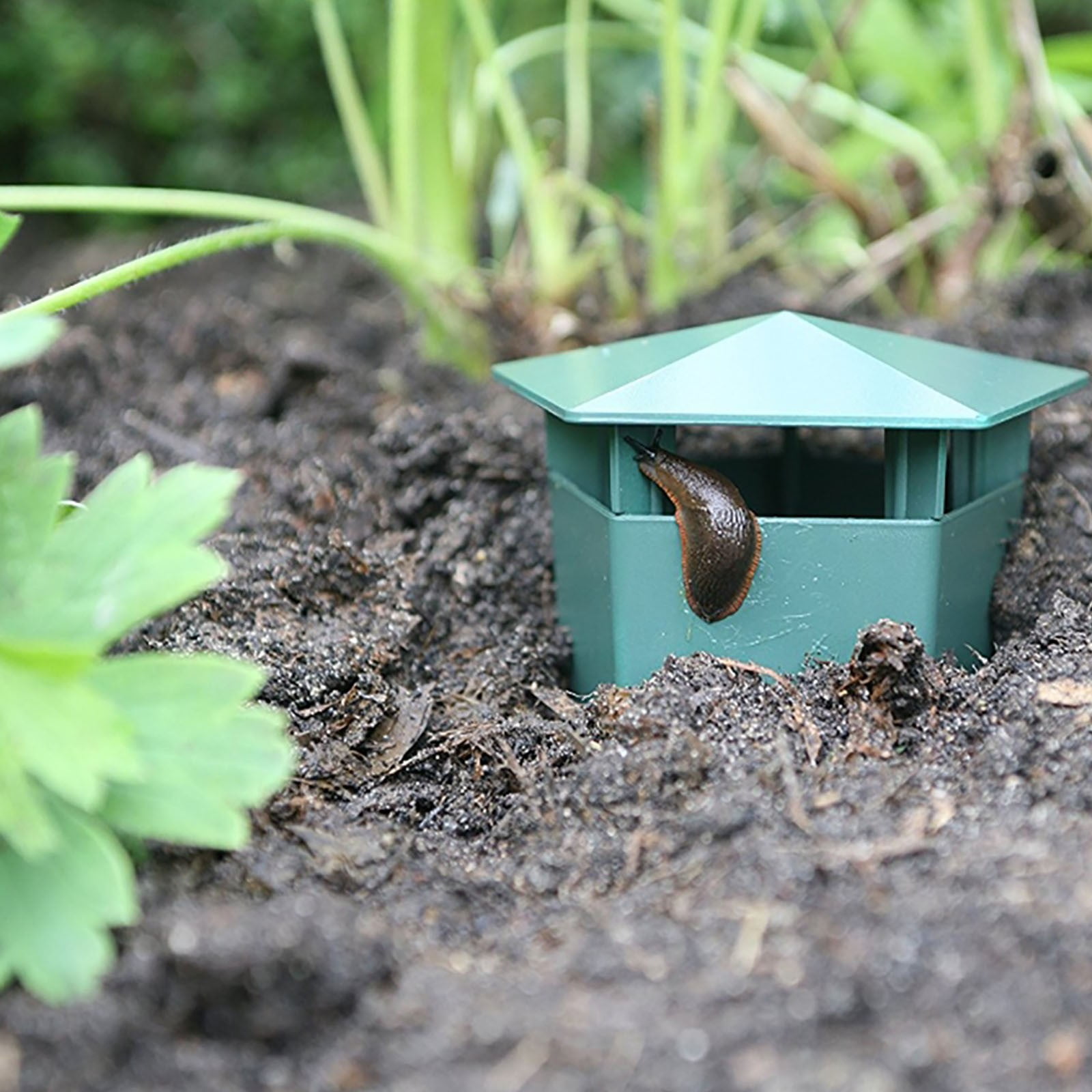 Mollusk Captor For Garden Mollusk & Snail Captor Friendly To Catch ...