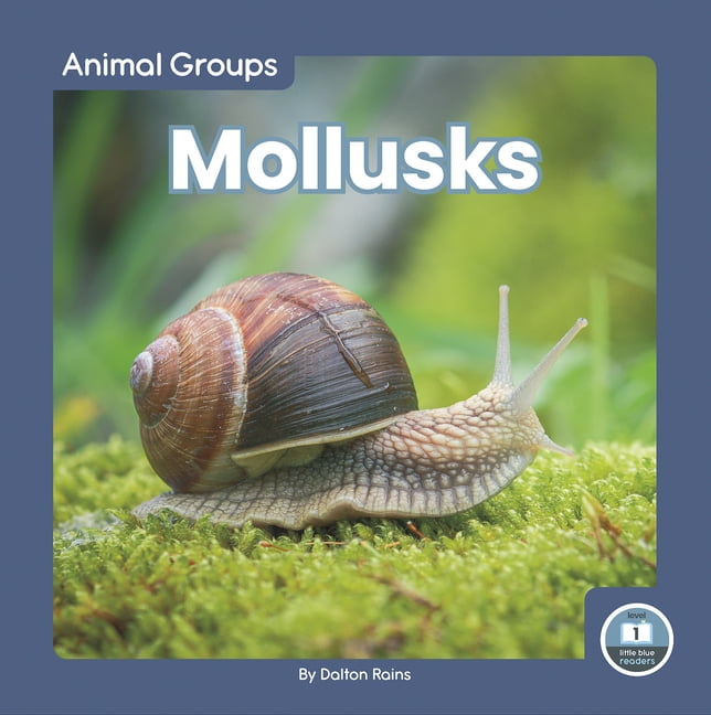 Mollusks, (Paperback) - Walmart.com