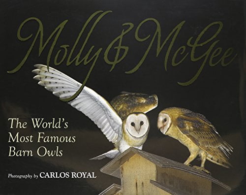 Pre-Owned Molly & McGee: A Photo Gallery of the World's Most Famous ...