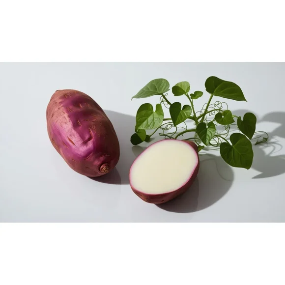 Vegetable Plants in Live Plants - Walmart.com