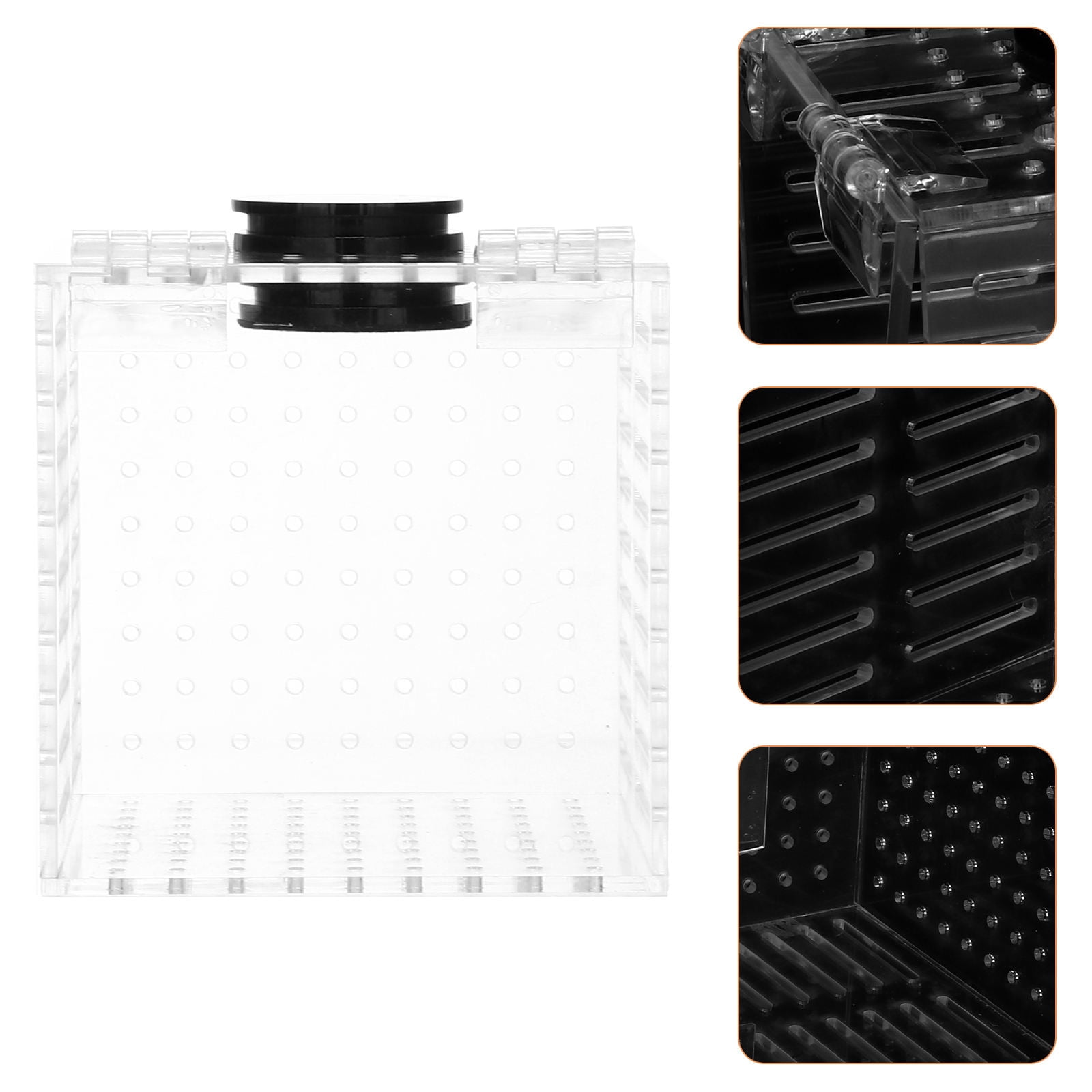 Moluckfu Fish Separation Box Clear Look Design 1Pc 4.2X4.2X4.2In ...