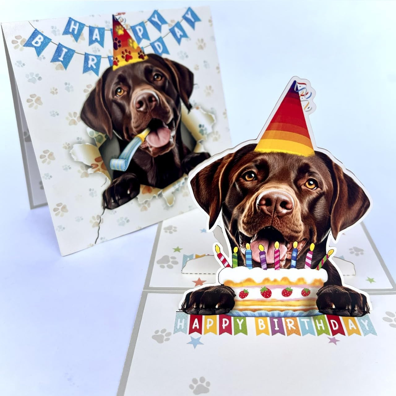 Momapopup 3D Pop-Up Labrador Retriever Dog SMRBirthday Card - Happy ...