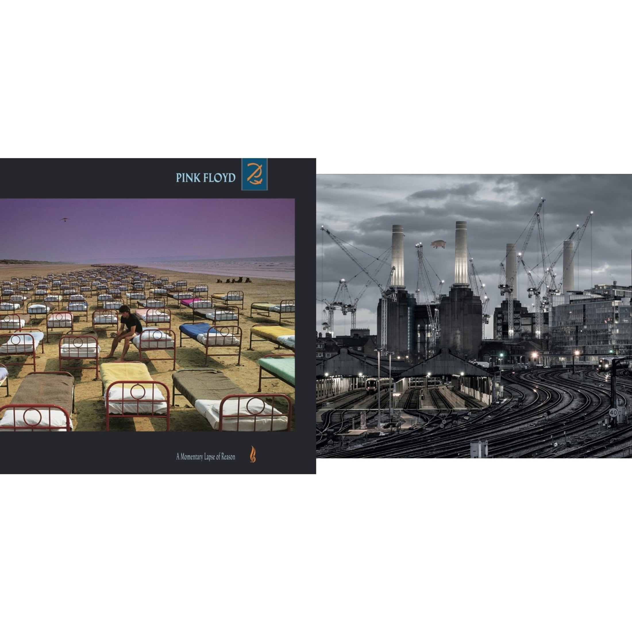 Momentary Lapse Of Reason (180G/Gatefold) (2016 Version) & Animals ...