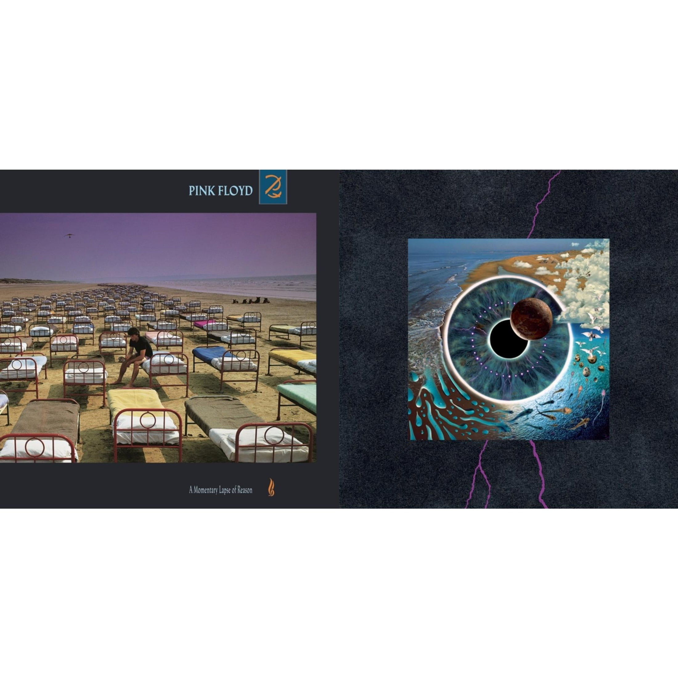 Momentary Lapse Of Reason (180G/Gatefold) (2016 Version) & Pulse (180G ...