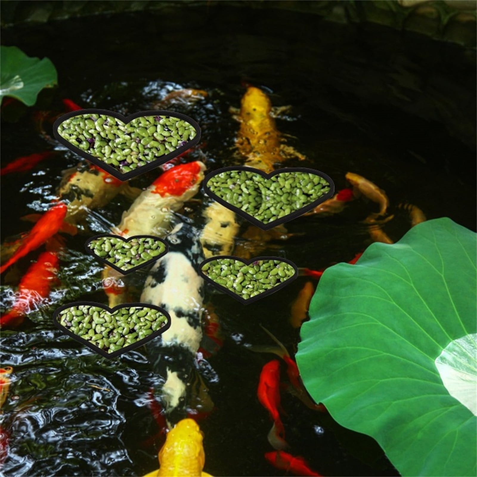 Momihoom Aquarium Floating Plant Rings, Foam Floating Plant Corral Fish ...