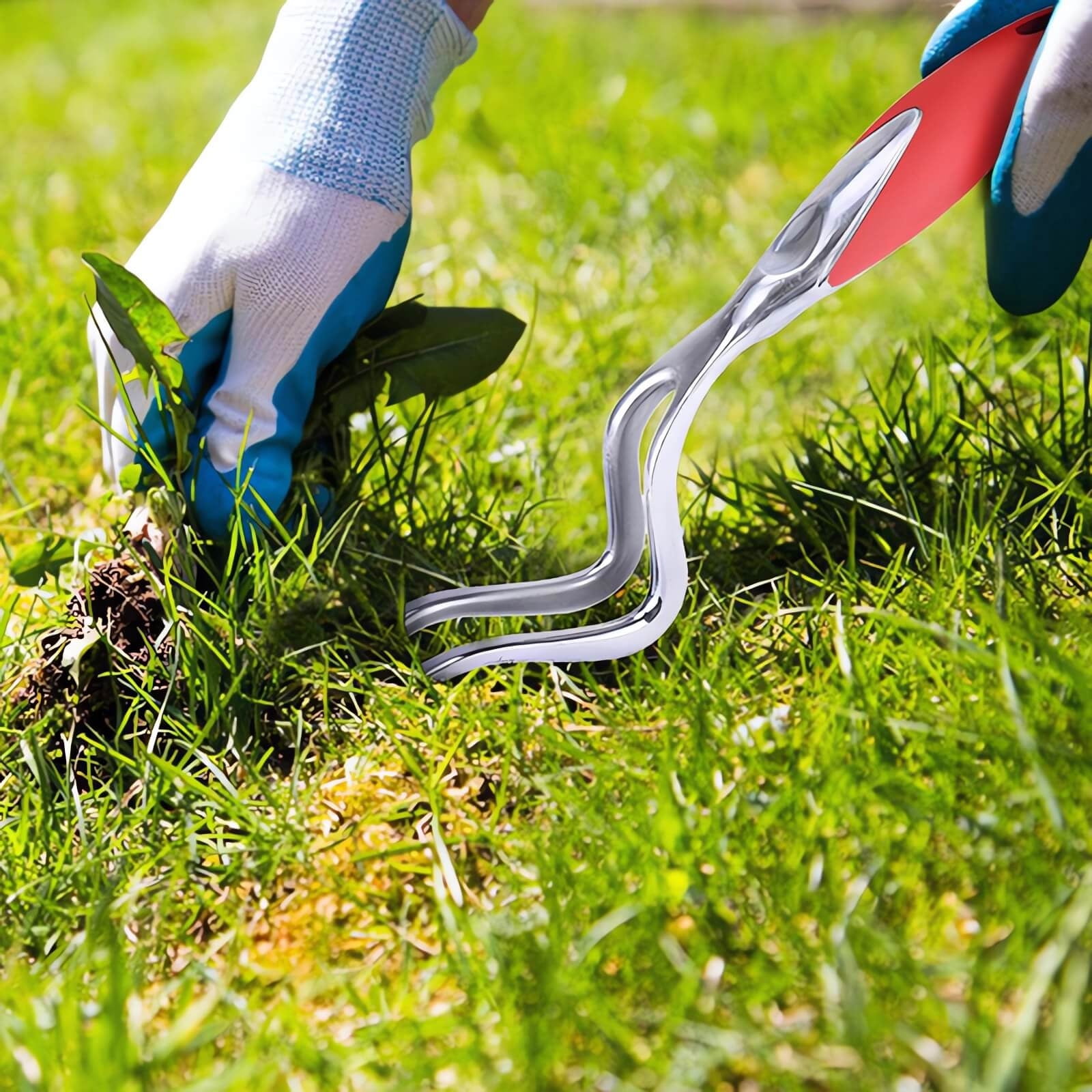 Momihoom Gardeners Rake for Perfect Pulverized and Aerated Soil, Loosen ...