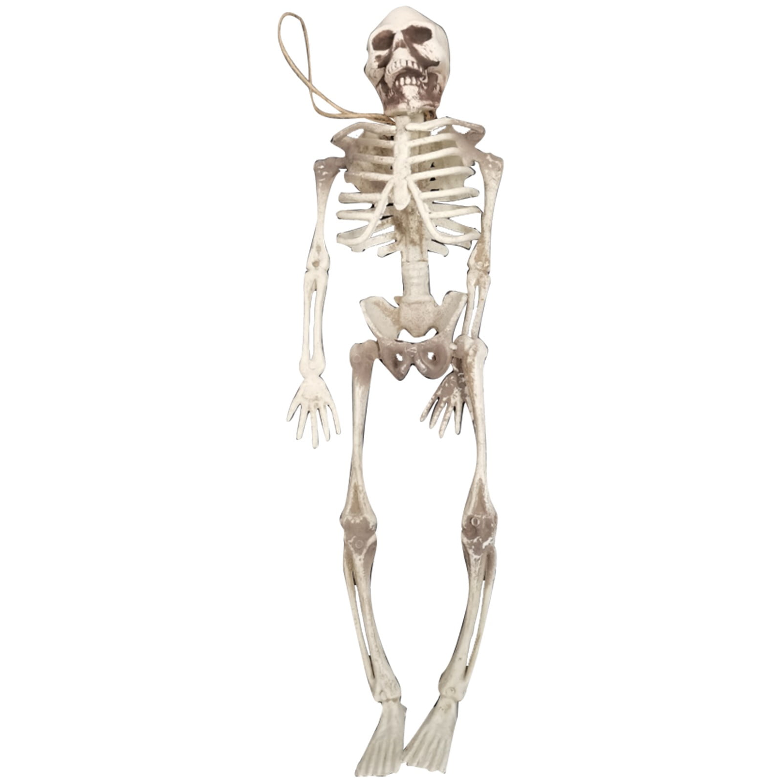 Momihoom Halloween Skeleton Skeleton Props Ghost Festival Bar Secret ...