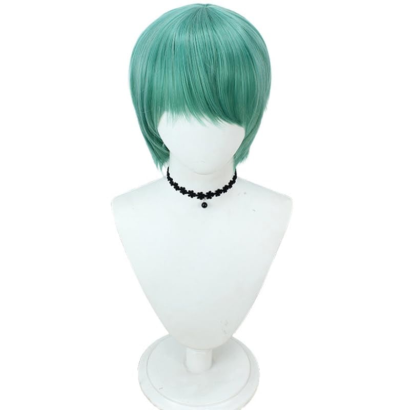 Momojoy Demon Hunters Costume Wig for Mira,Pop Animated Characters Wigs ...
