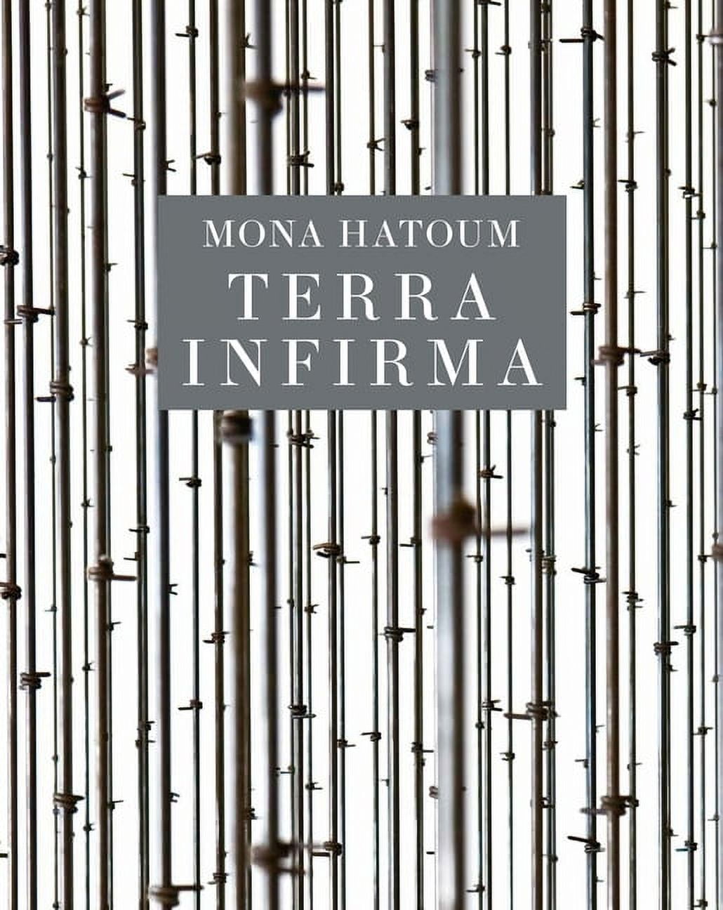 Mona Hatoum : Terra Infirma (Hardcover) - Walmart.com
