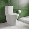 Virage One Piece Elongated Toilet with Touchless Retrofit Dual Flush 1. ...