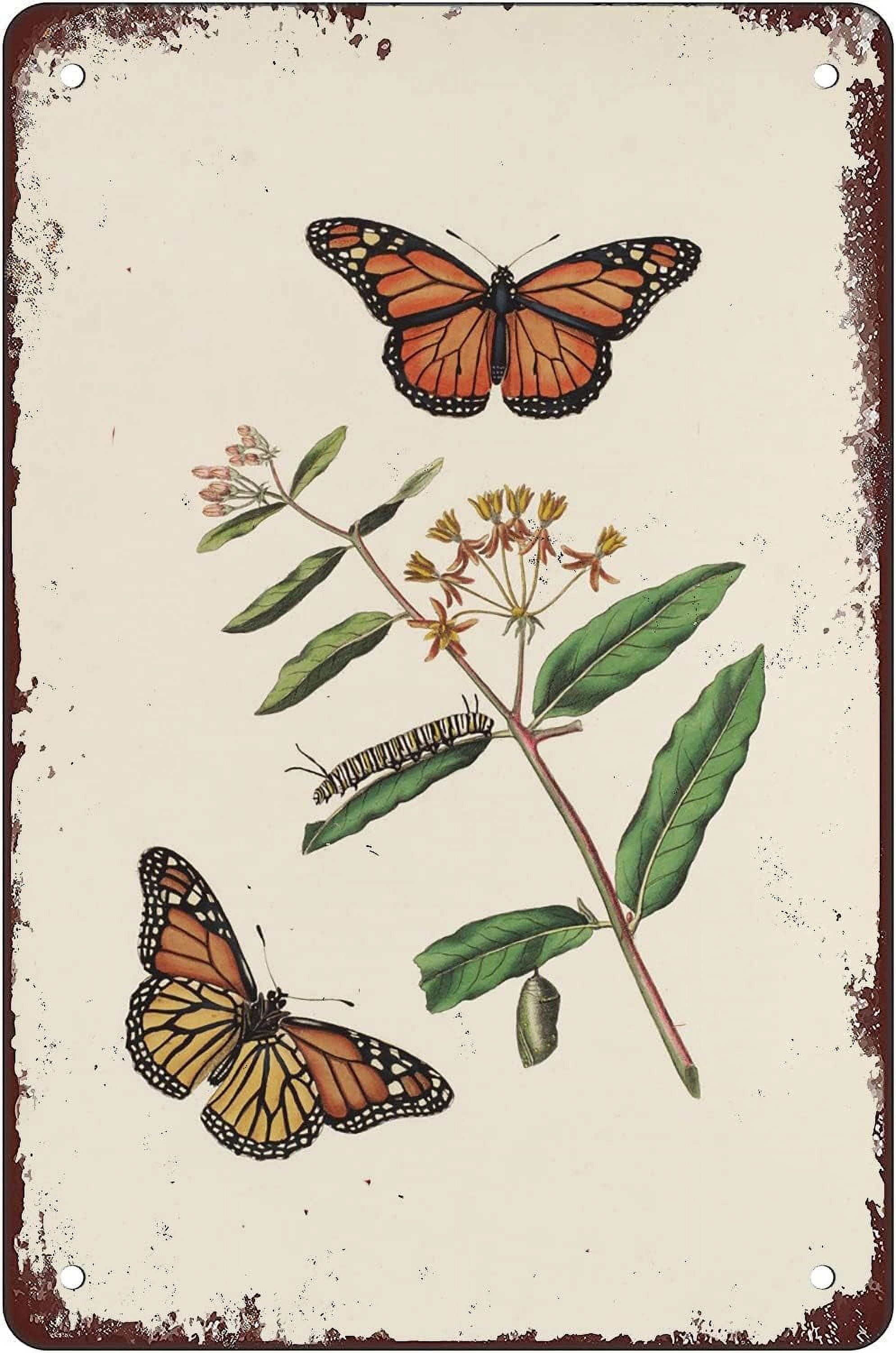 Monarch Butterfly And Milkweed Tin Sign Vintage Cave Bar Home Wall ...