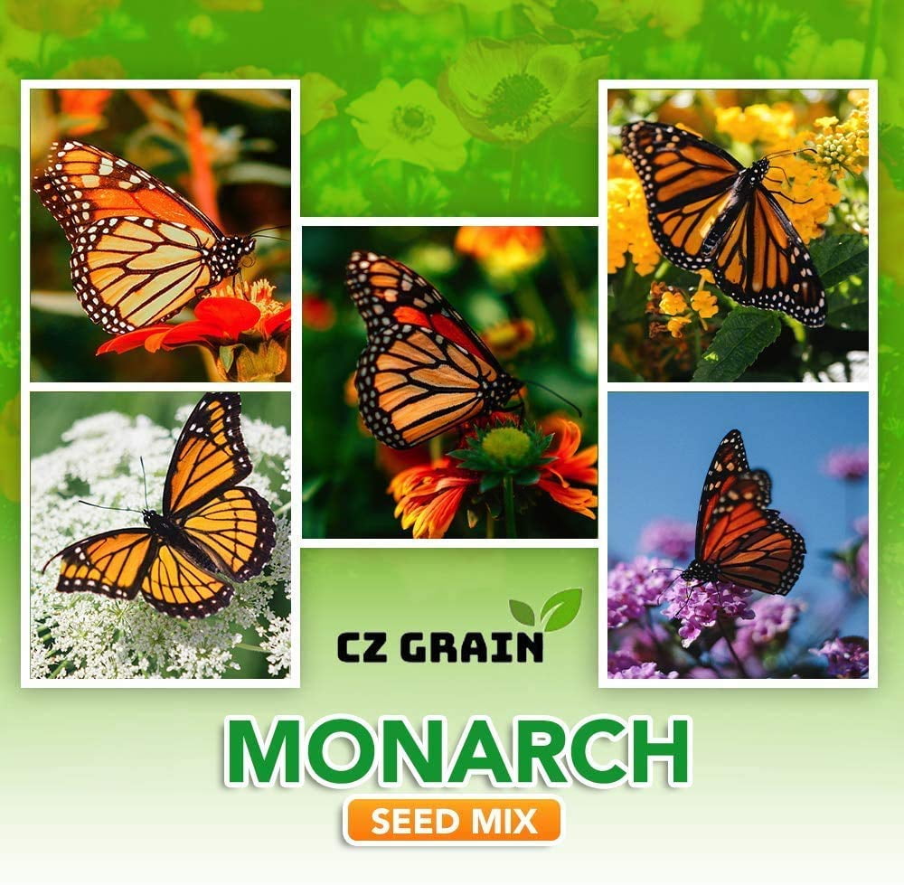 Monarch Butterfly Garden Seed Kit - Annual and Perrenial Wildflowers ...