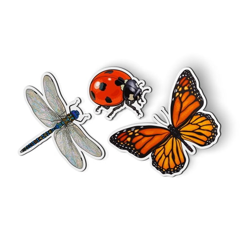 Monarch Butterfly Ladybug and Dragonfly Set Insects - 3" each Magnets ...