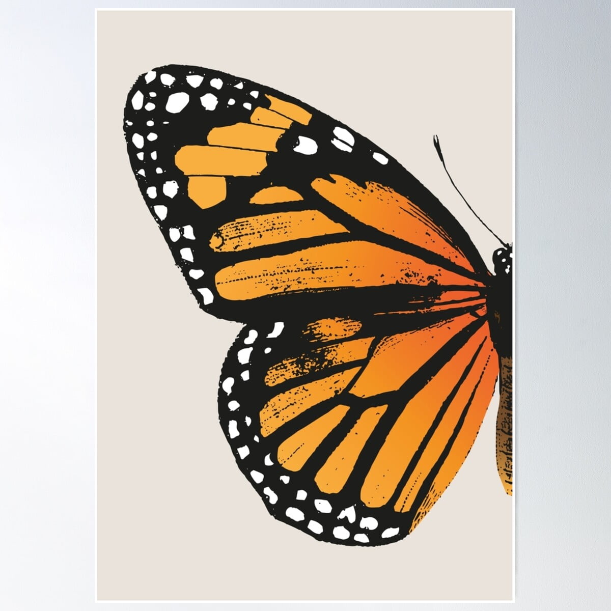 Monarch Butterfly | Left Wing | Vintage Butterflies | Butterfly Wings ...