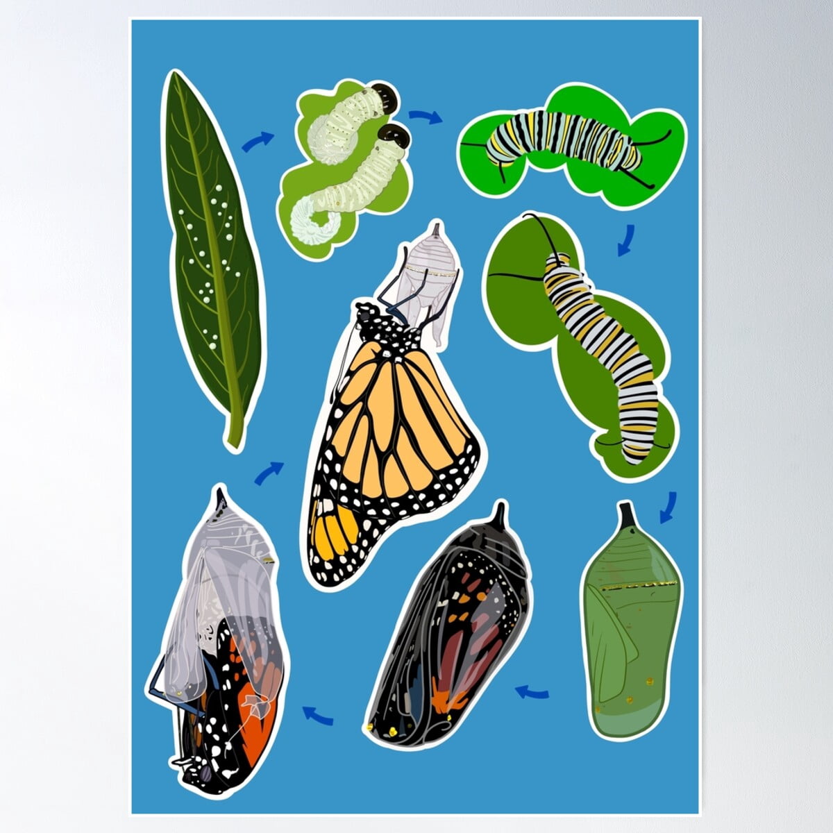 Monarch Butterfly Life Cycle Poster Wall Art, Modern Wall Decor For ...